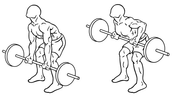 Rowing barre : Un super exercice pour developper les dorsaux