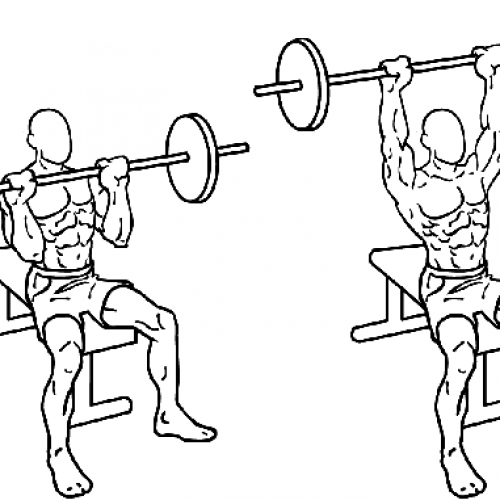 Développé militaire assis à la barre guidée pour se muscler les épaules Développé militaire assis à la barre guidée pour se muscler les épaules
