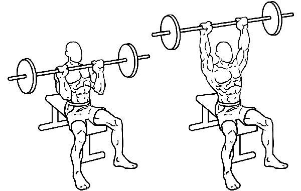 Développé militaire assis à la barre guidée pour se muscler les épaules Développé militaire assis à la barre guidée pour se muscler les épaules