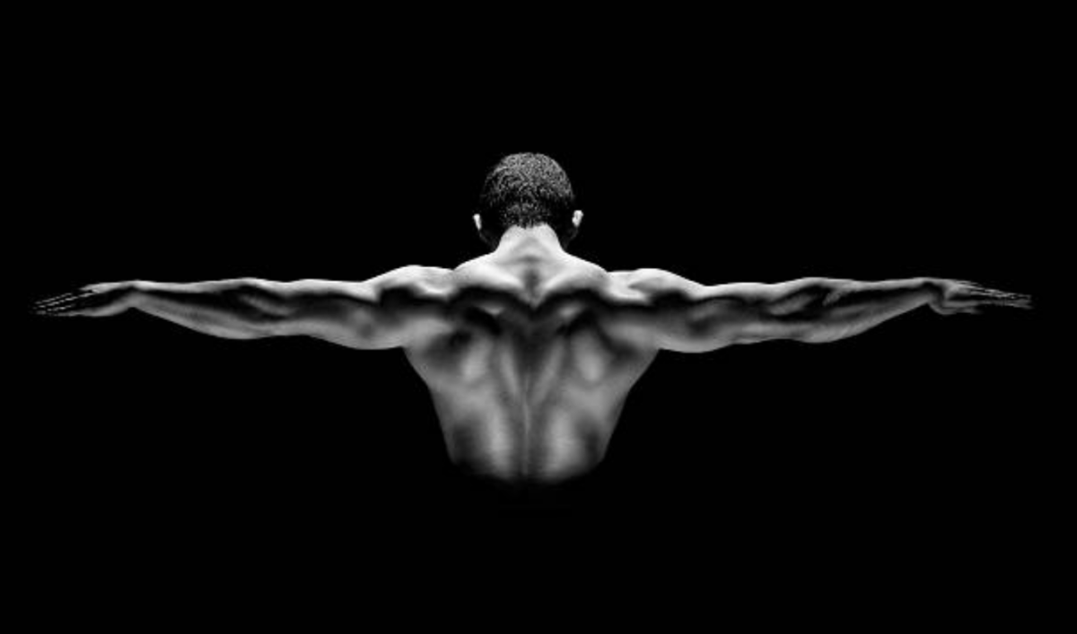 Muscles du corps humain : liste et groupes principaux