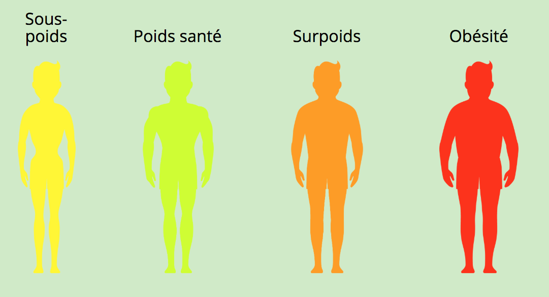 IMC et musculation : Est-il pertinent pour les personnes musclées