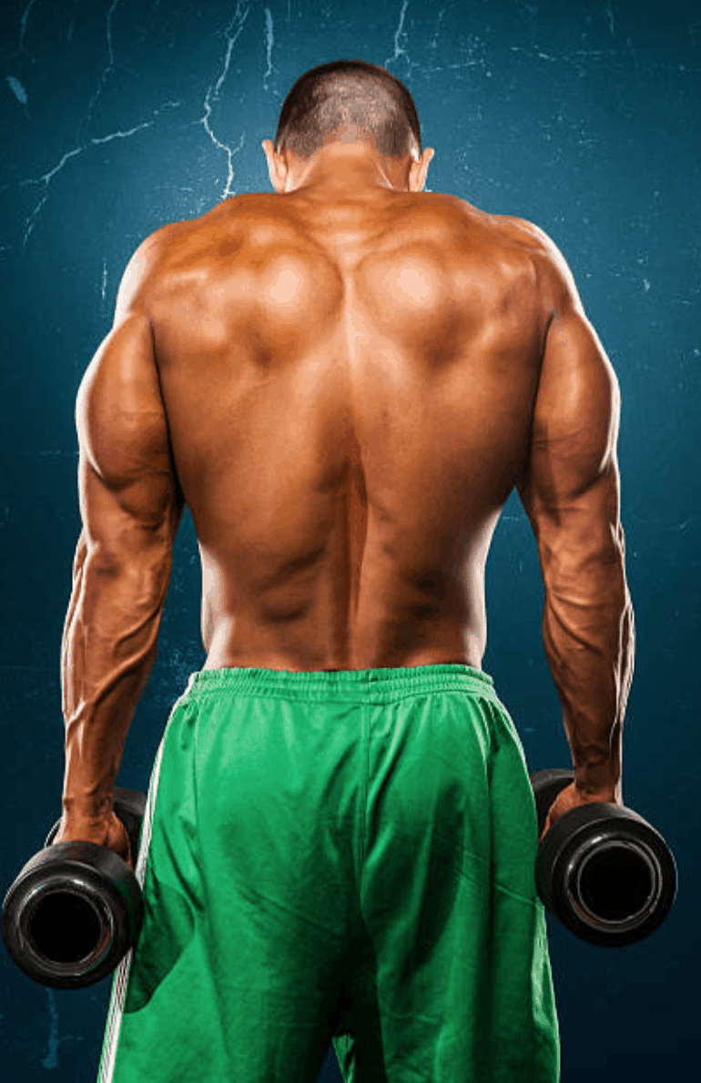 Comment se muscler les trapèzes avec 3 exercices