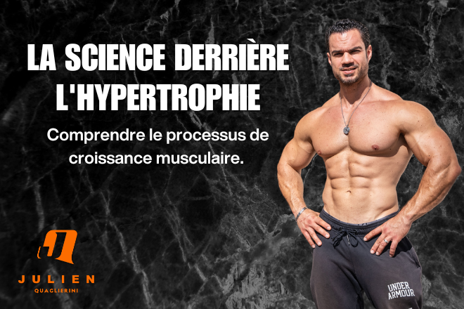 Comprendre le processus de croissance musculaire - Julien Quaglierini