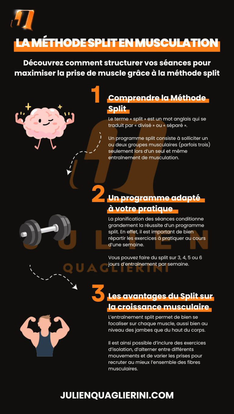 Programme Split Musculation : Guide Complet pour Débuter